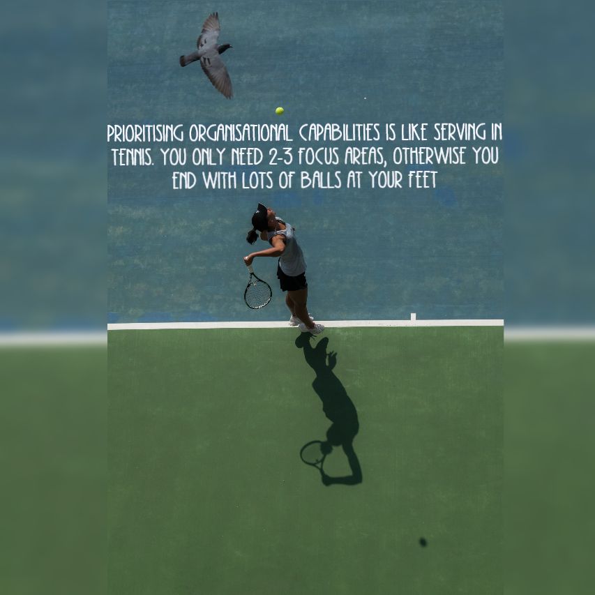 Priorities for organisations, break it down - Cultivate Capabilities